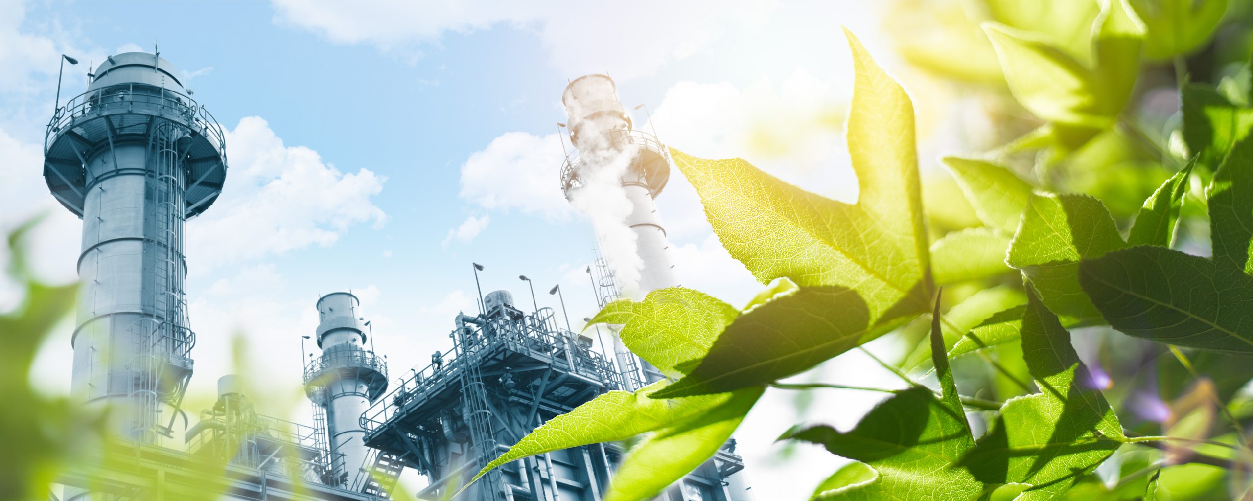 Loi « industrie verte » - UNAM